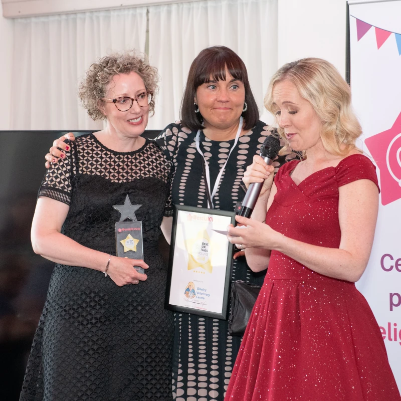 Weeley Veterinary Centre | Award-winning Independent Vet in Weeley, Essex