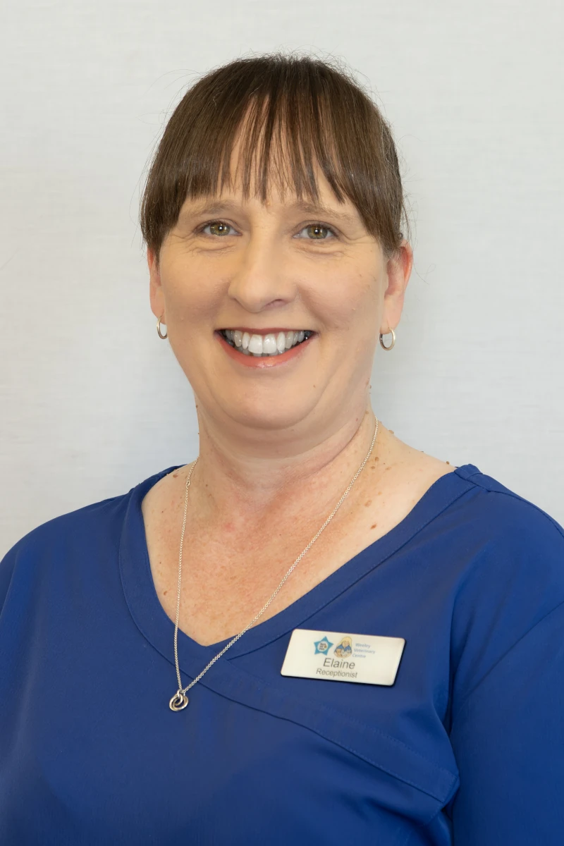 Weeley Veterinary Centre | Award-winning Independent Vet in Weeley, Essex