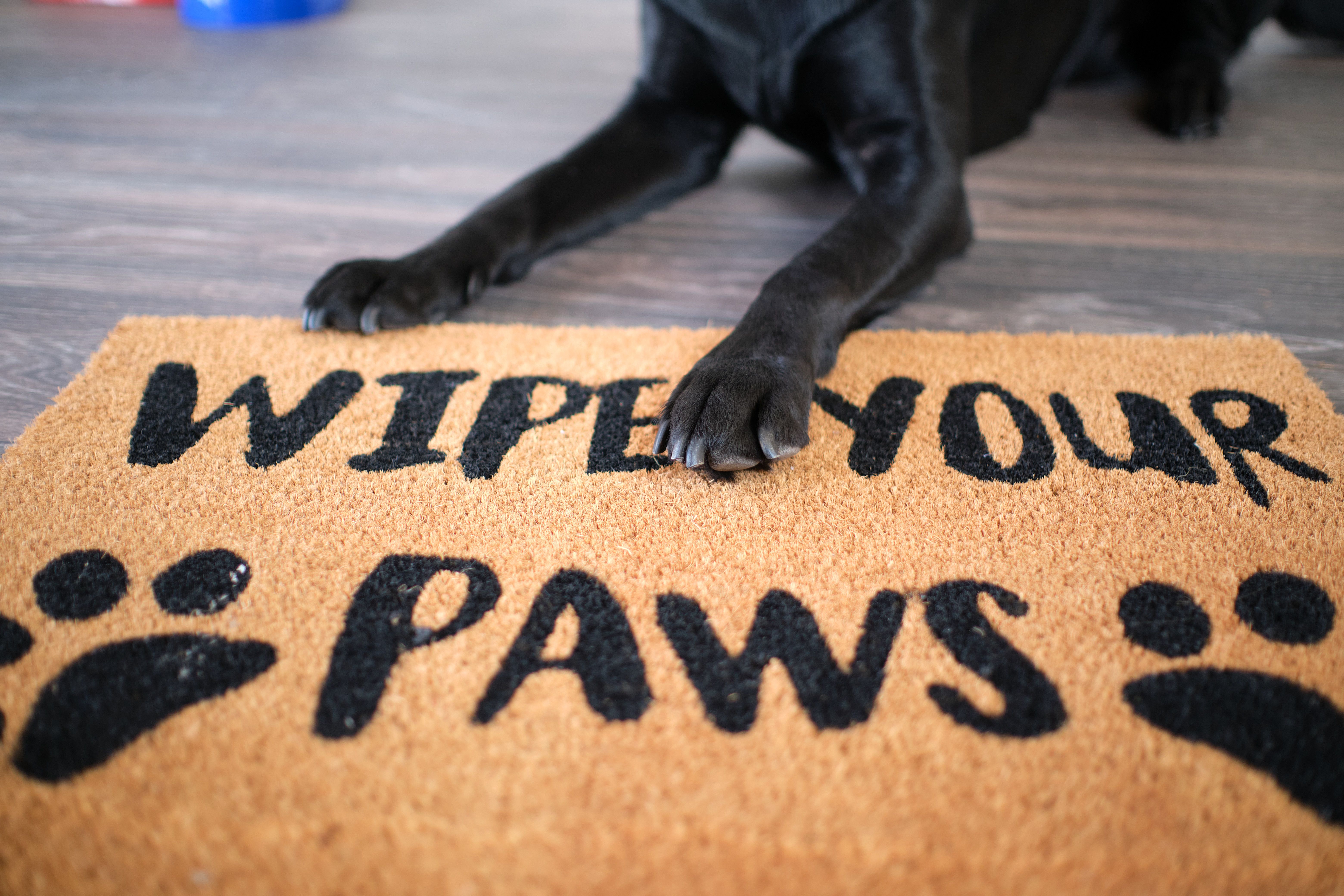 Weeley Veterinary Centre