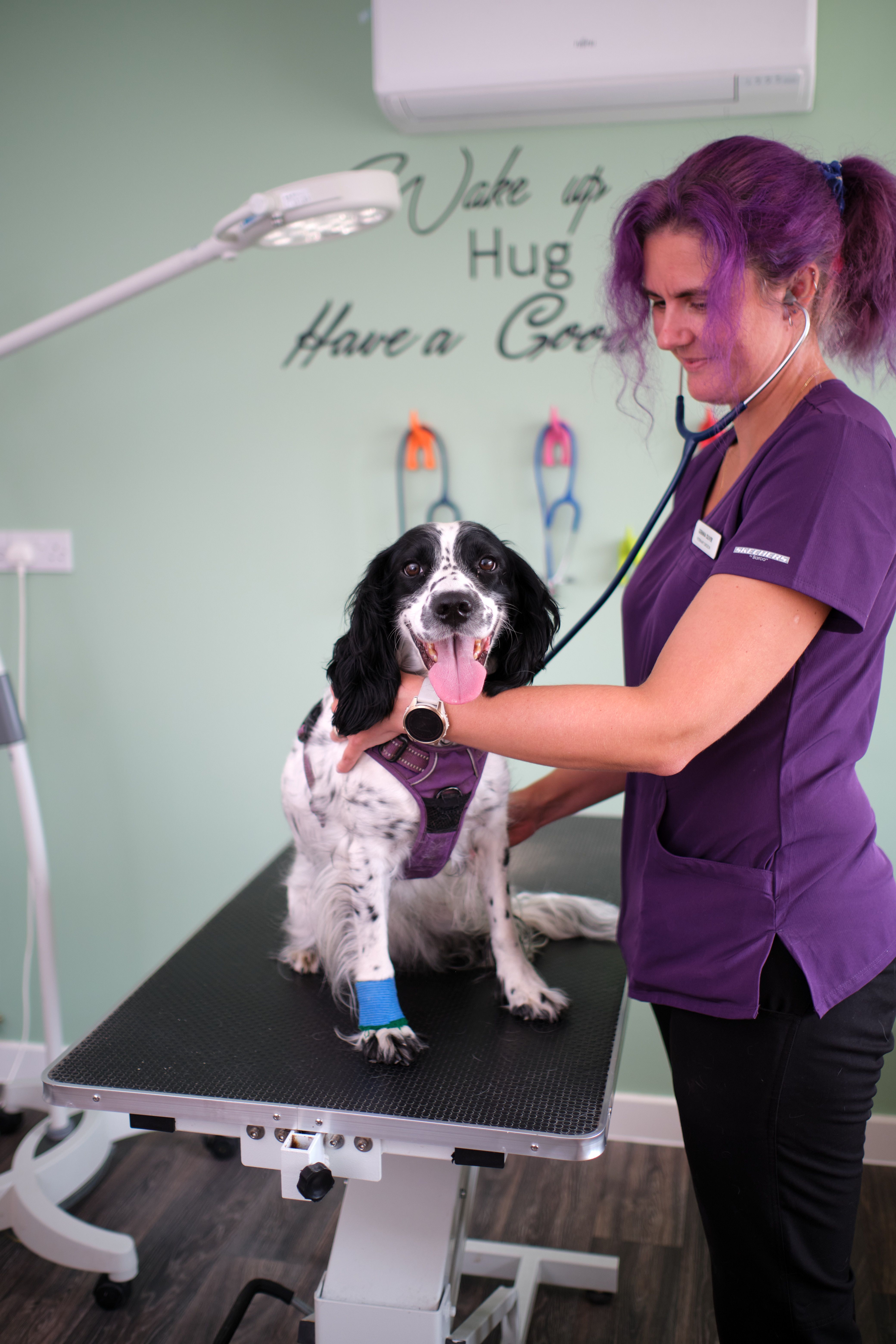 Weeley Veterinary Centre | Award-winning Independent Vet in Weeley, Essex