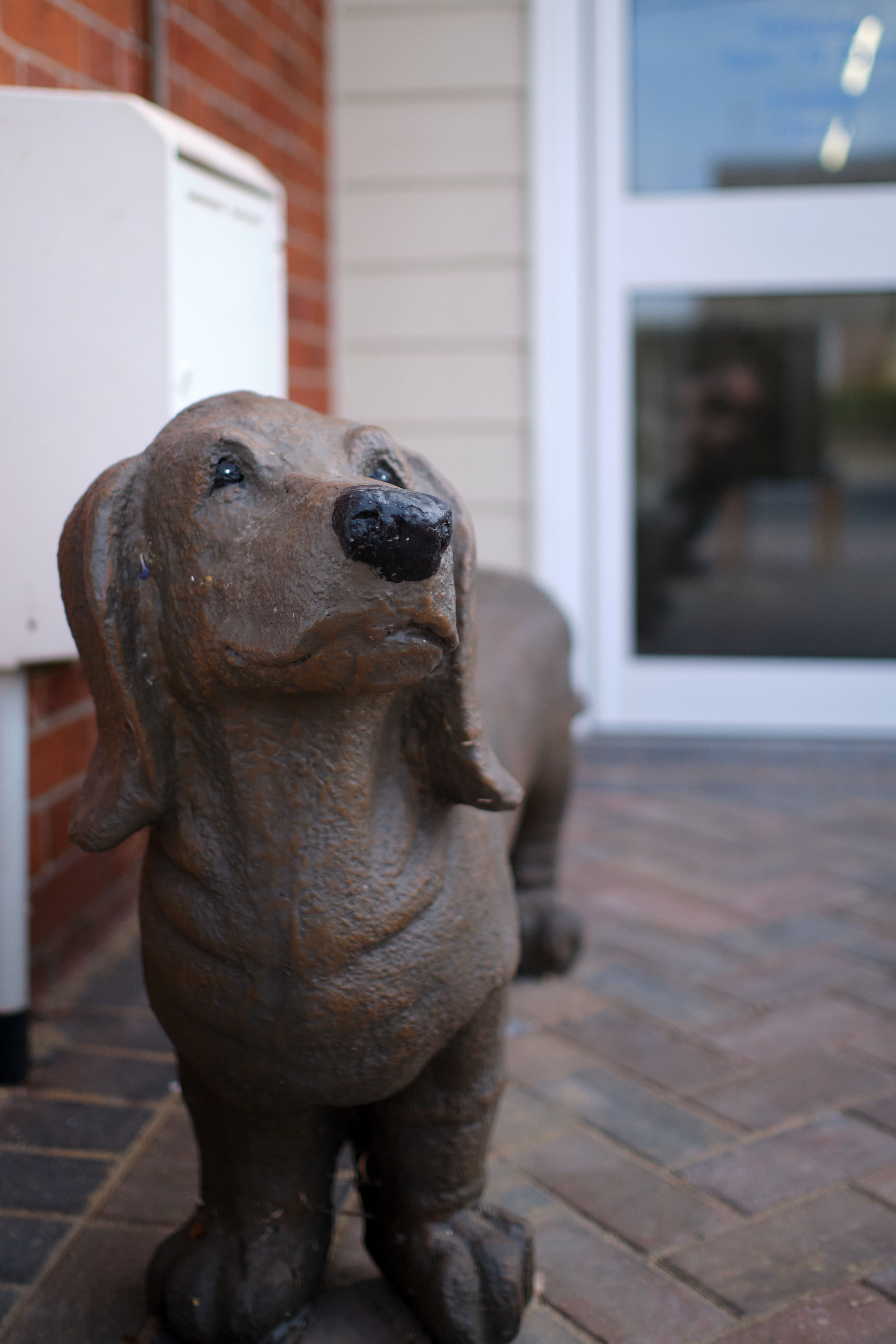 Weeley Veterinary Centre