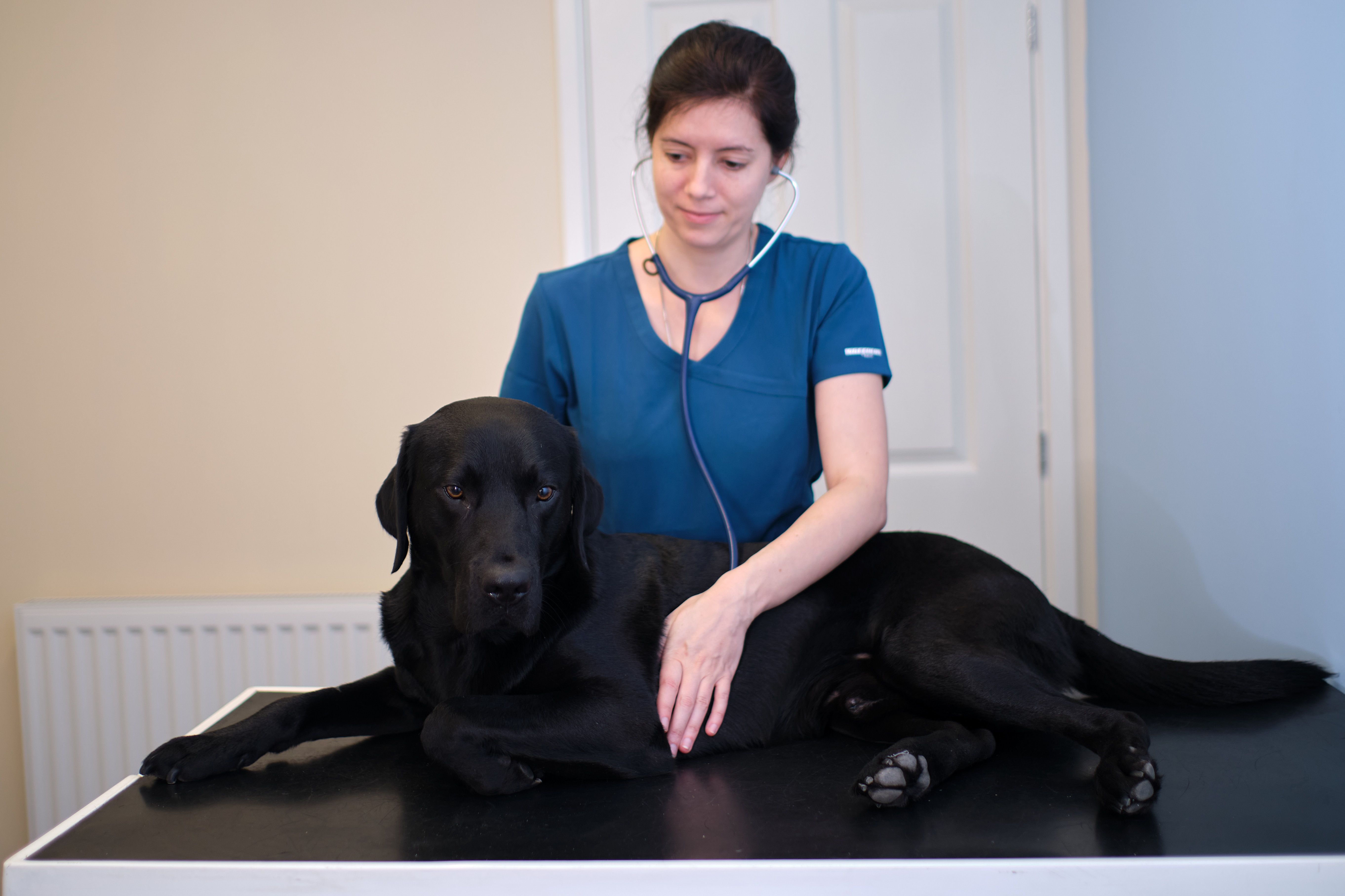 Weeley Veterinary Centre